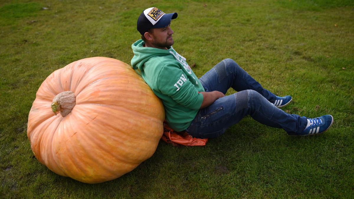 PHOTO: Sayuran Raksasa Gegerkan Warga Inggris - Foto Liputan6.com