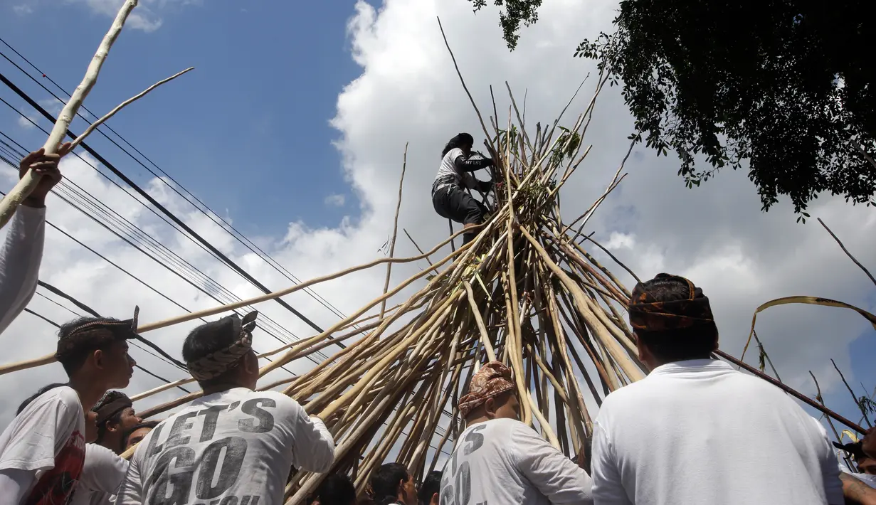 PHOTO: Naik Kepuncak Tongkat, Begini Keseruan Ritual Makotek di Bali ...
