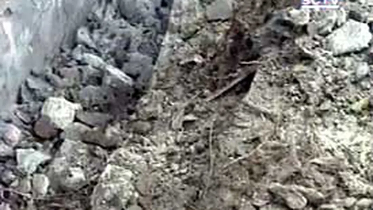 Bom Rakitan Kembali Mengguncang Ambon - News Liputan6.com