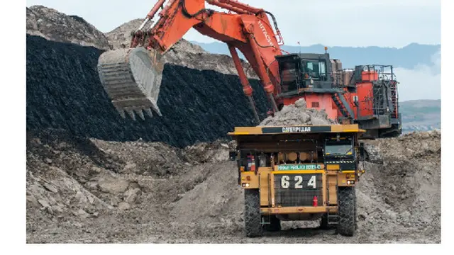 Samindo Resources Kantongi Laba Rp 116 Miliar di Paruh Pertama 2022 ...