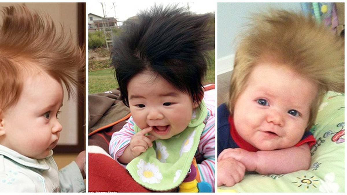 Bayi-Bayi dan Tren Mohawk Mini Dalam Kompetisi Foto Rambut Unik ...