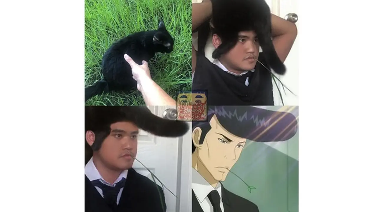 6 Cosplay Low Budget Libatkan Kucing Ini Kocak, Bikin Ketawa - Hot ...
