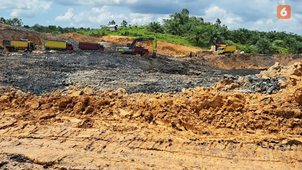 Artikel Tambang Batu Bara Hari Ini - Artikel Terbaru Terkini | Liputan6.com