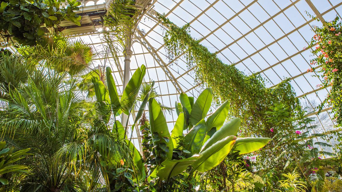 Indahnya Lapinea Cafe & Resto, Tempat Kuliner Aesthetic di Lembang ...