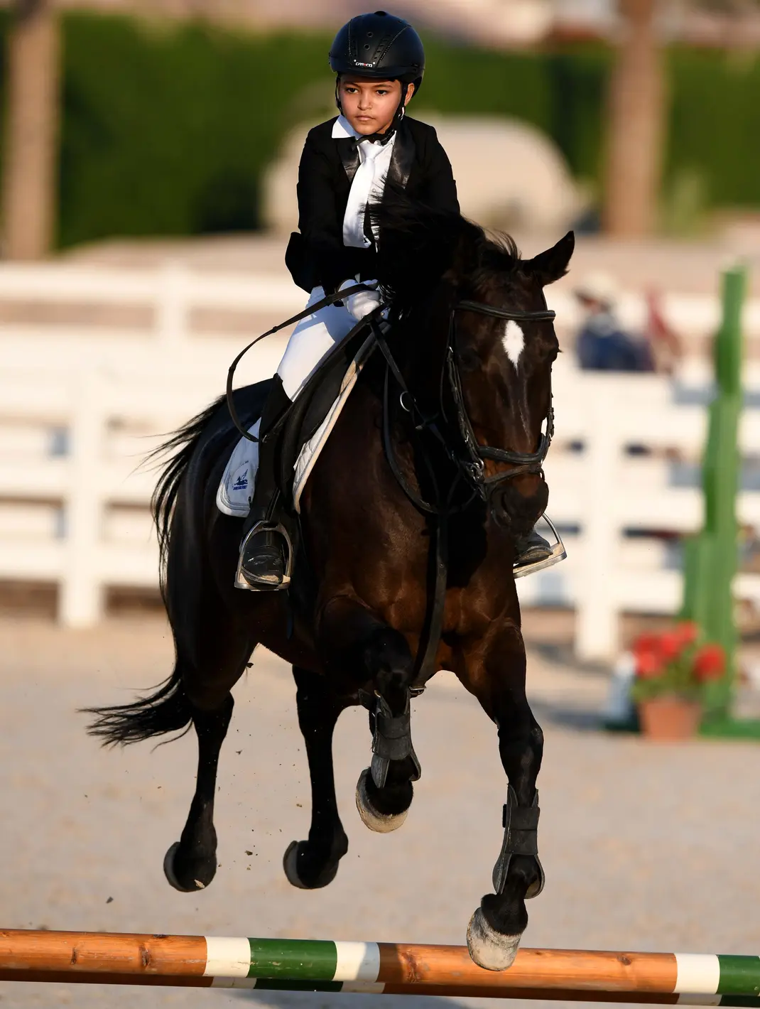 FOTO: Aksi Para Penunggang dalam Kejuaraan Lompat Kuda di Kuwait - Foto ...