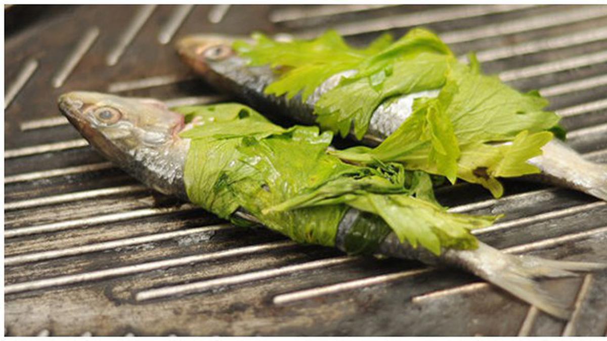 Cara Membersihkan Ikan Sebelum Dimasak (Bergambar) - Lifestyle Fimela.com