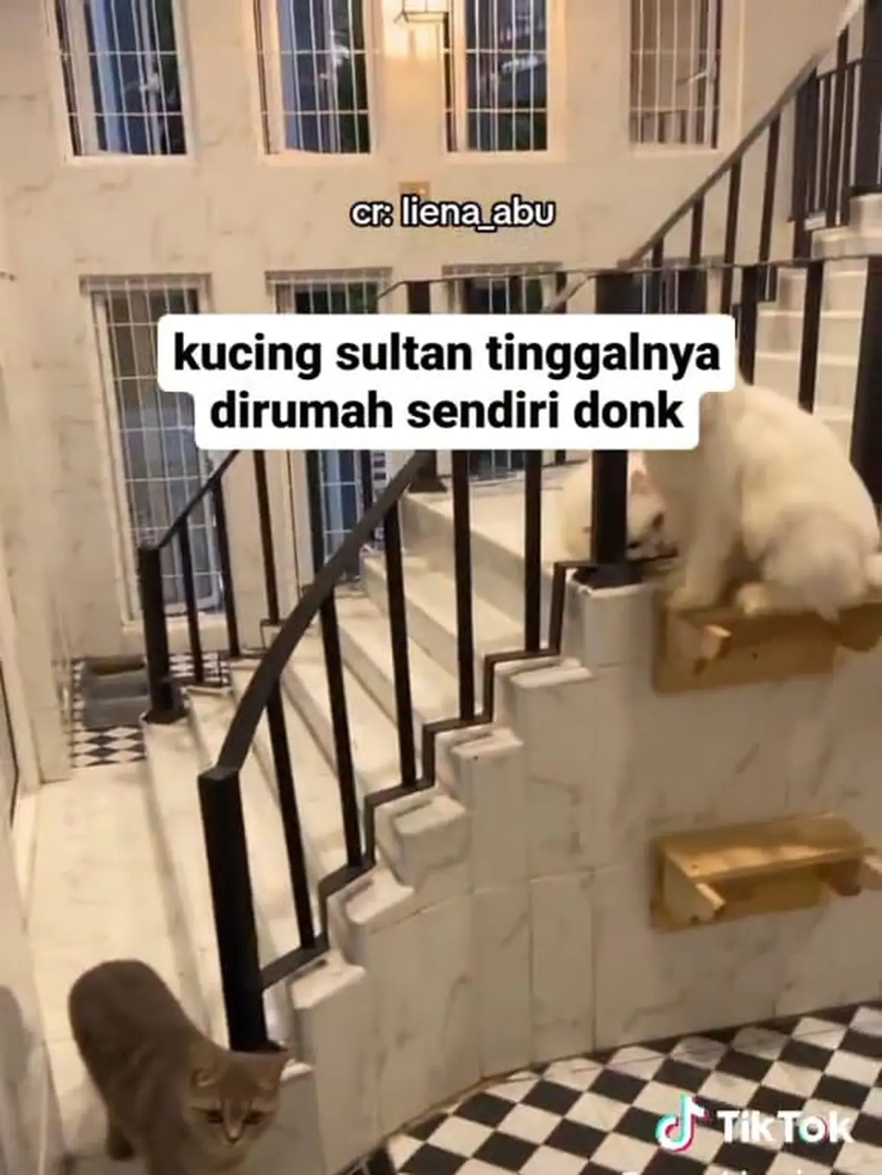 7 Potret Rumah Kucing Bak Istana Sultan Ini Bikin Iri, Mewah Ada CCTV ...