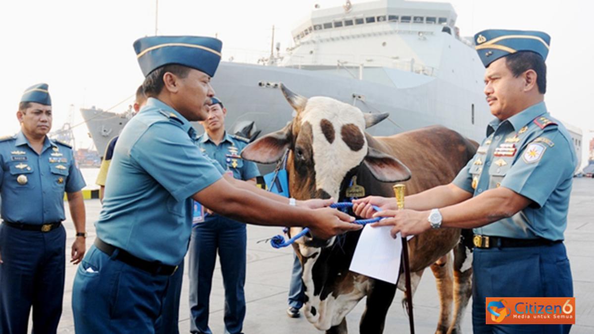 Pangkolinlamil Serahkan Hewan Kurban - Foto Liputan6.com