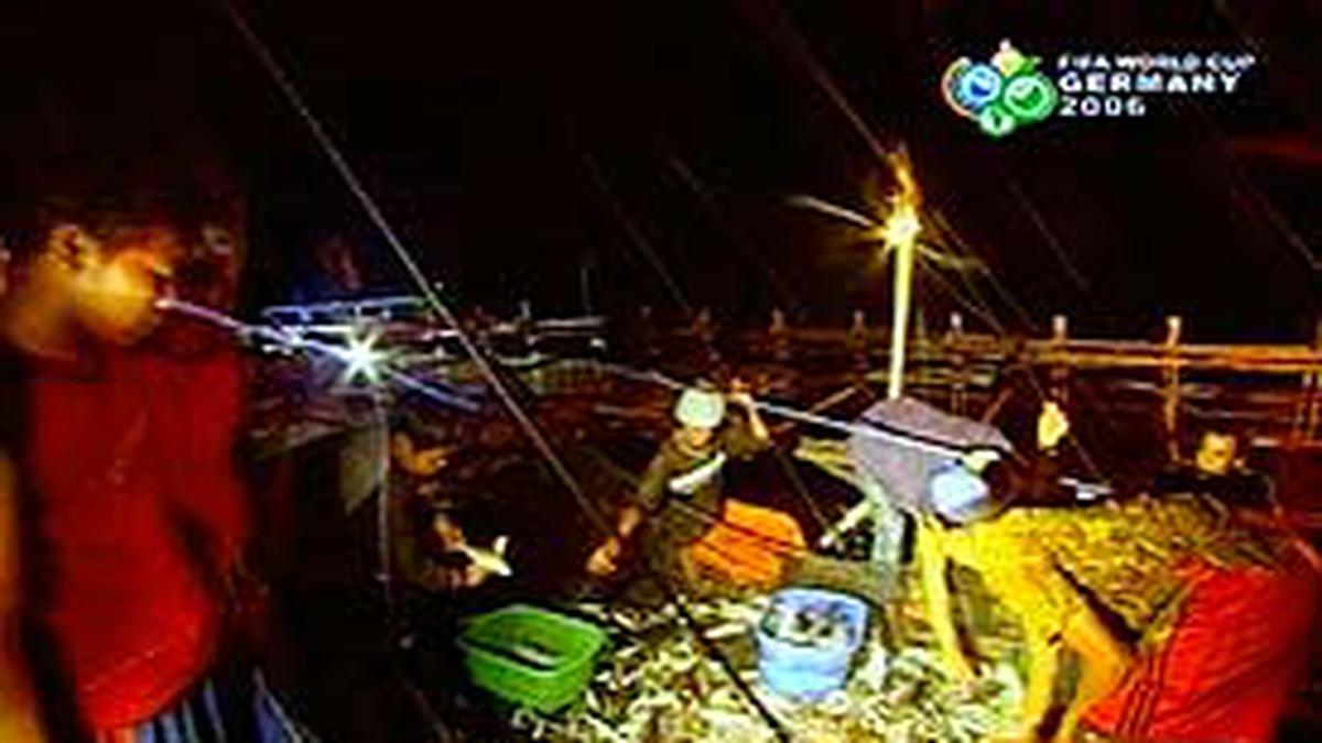 Ketegaran Punggawa Laut Teluk Bone - News Liputan6.com