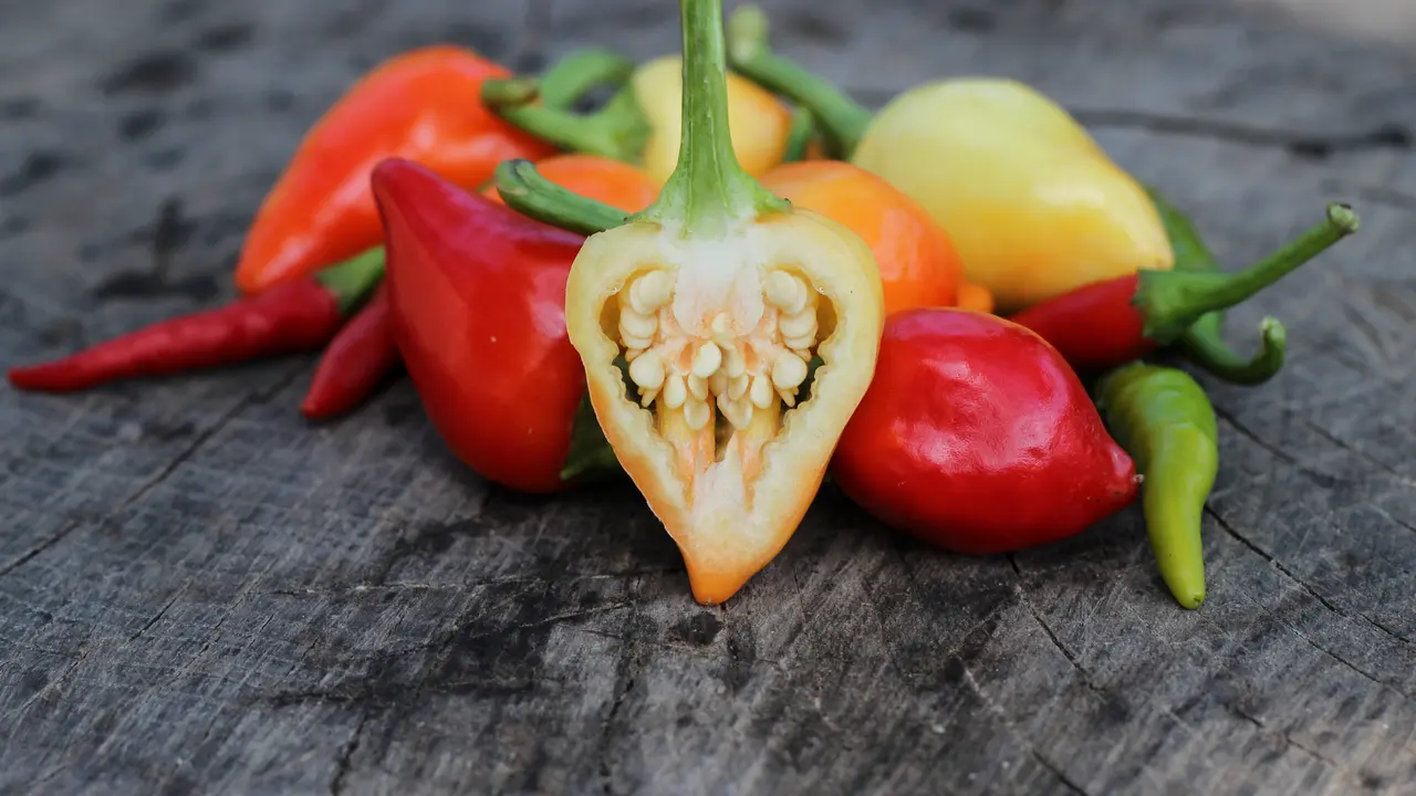 6 Jenis Cabai yang Mudah Ditanam di Kebun Rumah, Panen Melimpah - Hot ...