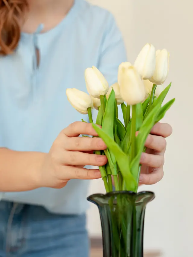 Cara Merawat Bunga Tulip agar Tumbuh Subur dan Mekar Indah di Indonesia