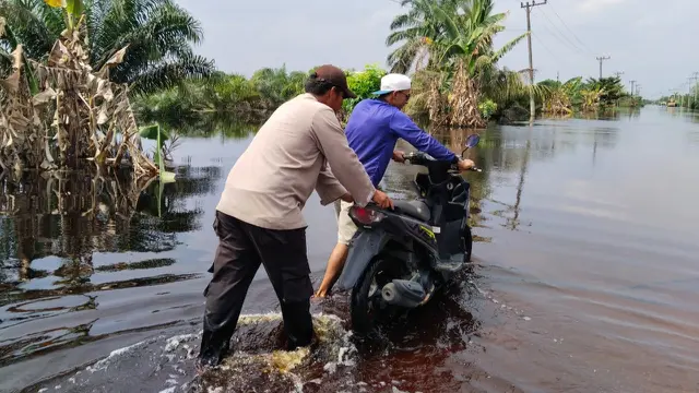 Banjir Jalan Lintas di Pelalawan Masih Tinggi, Polisi Imbau Warga Tak Nekat Menerjang - Regional ...