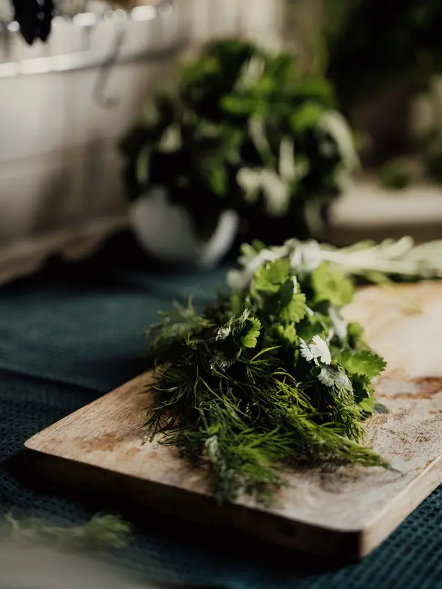 8 Cara Memasak Daun Adas Lezat dan Nikmat, Sayuran Hijau Perangsang ...