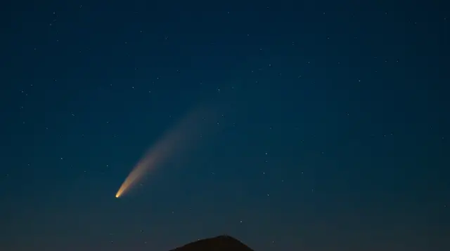 Sains - Berita Internasional, Sains, Feature, Kisah Inspiratif, Unik ...