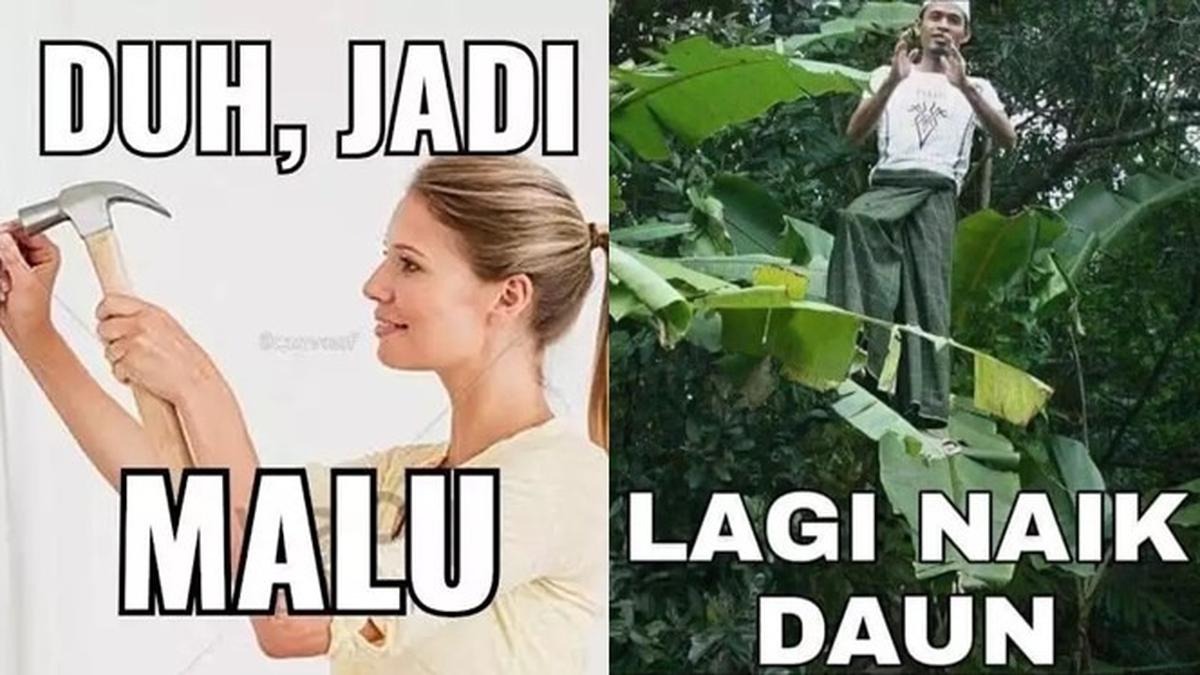 6 Meme Absurd yang Punya Makna Ganda Ini Bikin Mikir Keras, Kocak