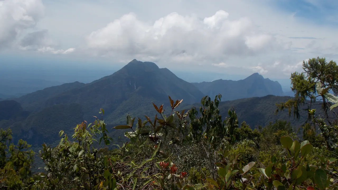 6 Fakta Menarik Gunung Mulu, Salah Satu Situs Warisan Dunia UNESCO