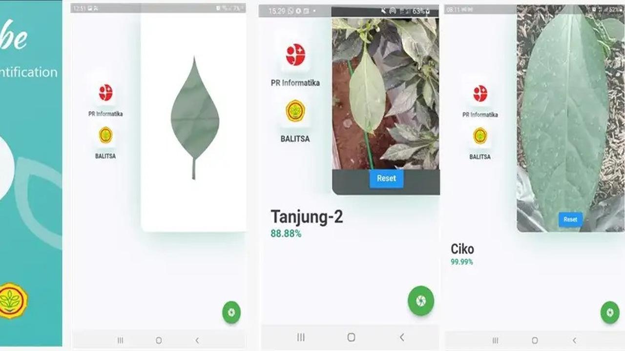 Ide-Cabe, Aplikasi Pintar Identifikasi Varietas Cabai Tanpa Koneksi ...