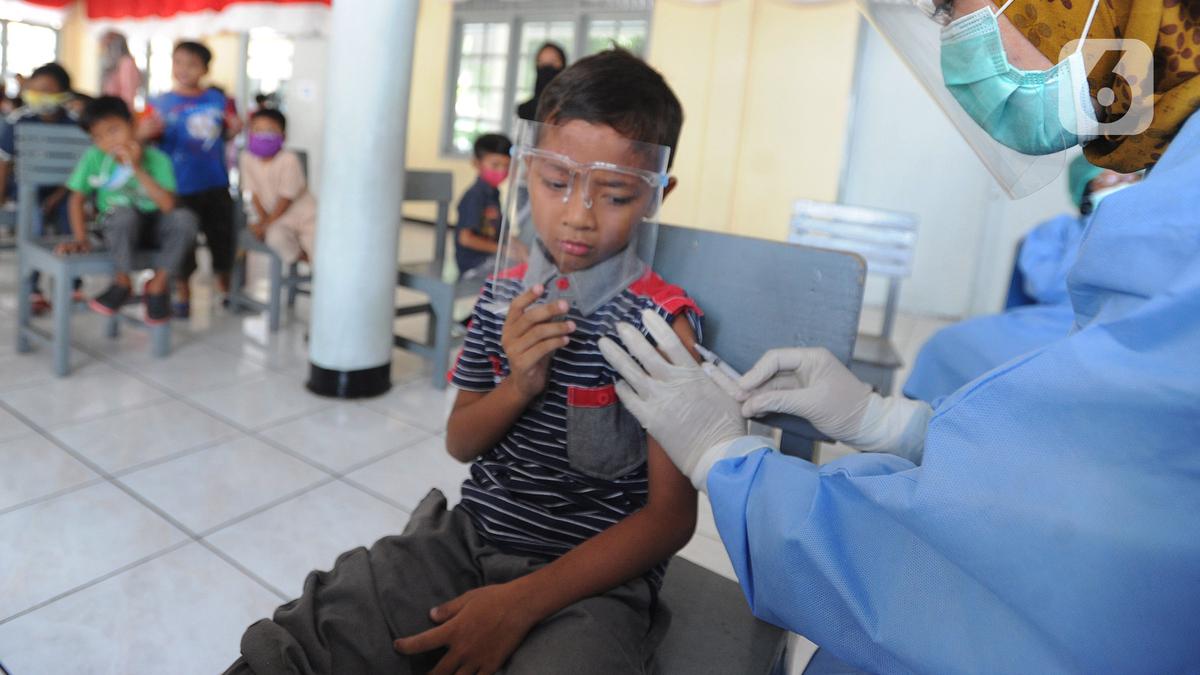 Imunitas adalah Mekanisme Pertahanan Tubuh, Ini Fungsi dan Cara ...