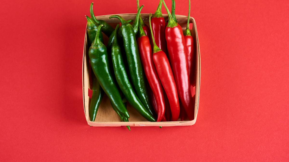 5 Cara Menyimpan Cabai supaya Tidak Mudah Busuk dan Lebih Tahan Lama