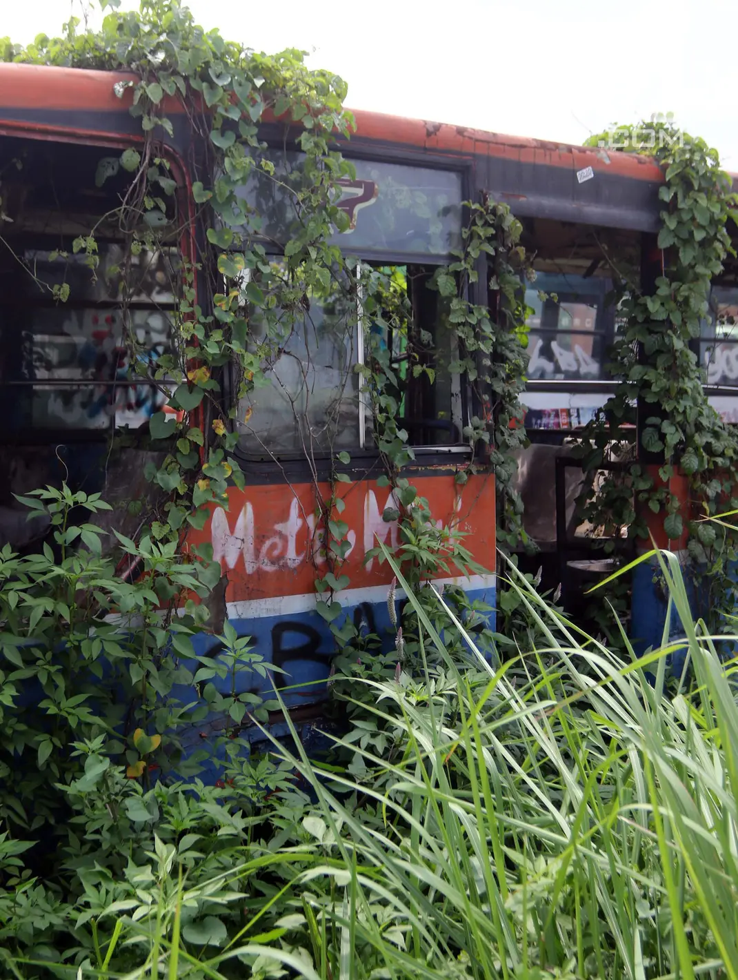 FOTO: Nasib Bangkai Bus Metromini yang Tergusur Zaman - Foto Liputan6.com