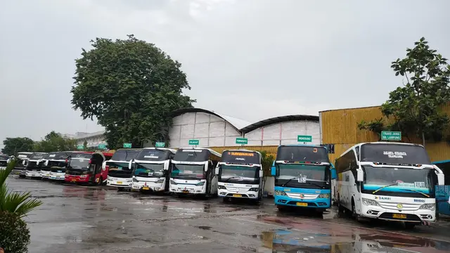 Damri Buka Lagi Rute Jayapura - Bandara Sentani, Cek Jadwal dan Tarifnya