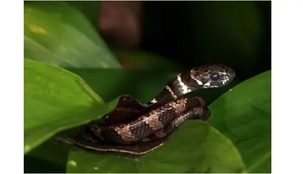 Lagi Naik Daun, Berikut 8 Rekomendasi Drama Choo Young Woo yang Menarik untuk Ditonton - Hot ...