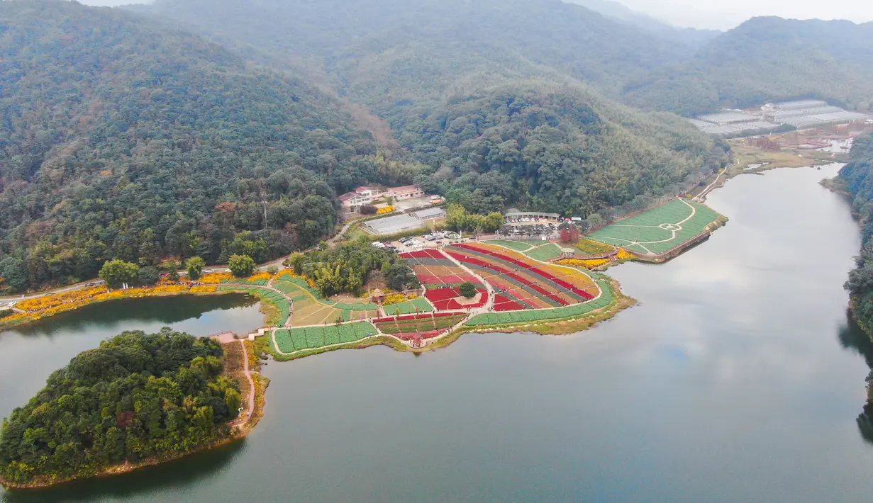 FOTO: Menikmati Keindahan Lautan Bunga di Taman Hutan Nasional Shimen ...