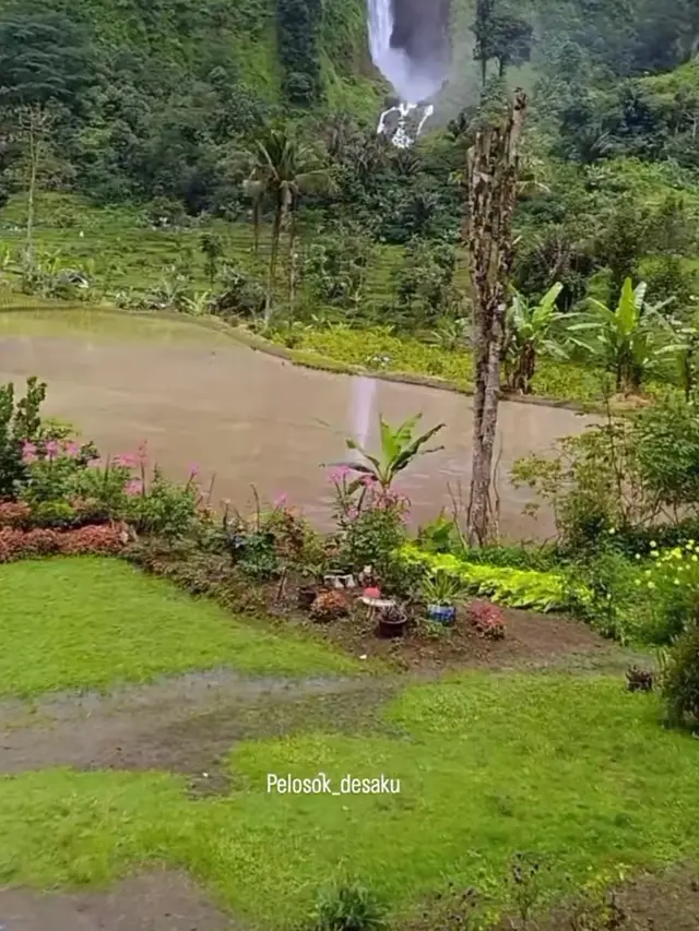 8 Potret Rumah Kayu View Air Terjun Ditawar Rp 2 Miliar tapi Ditolak ...