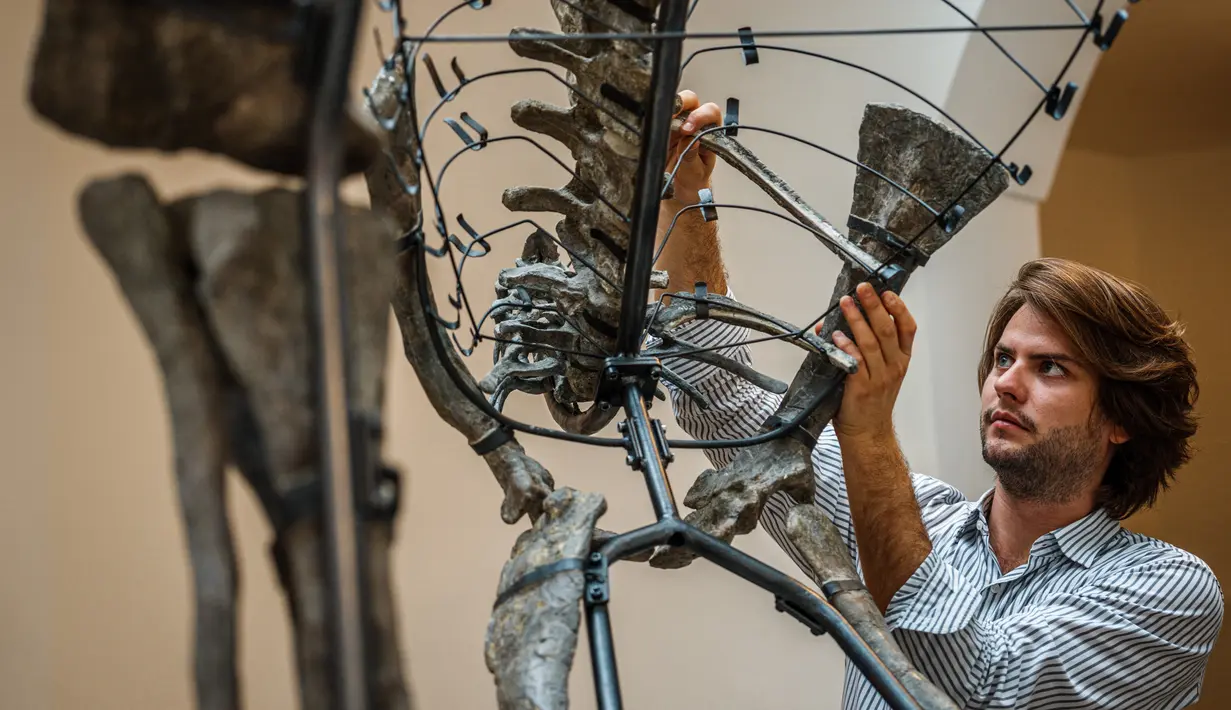 Kerangka Dinosaurus "Barry" Bakal Dilelang di Paris - Foto Liputan6.com