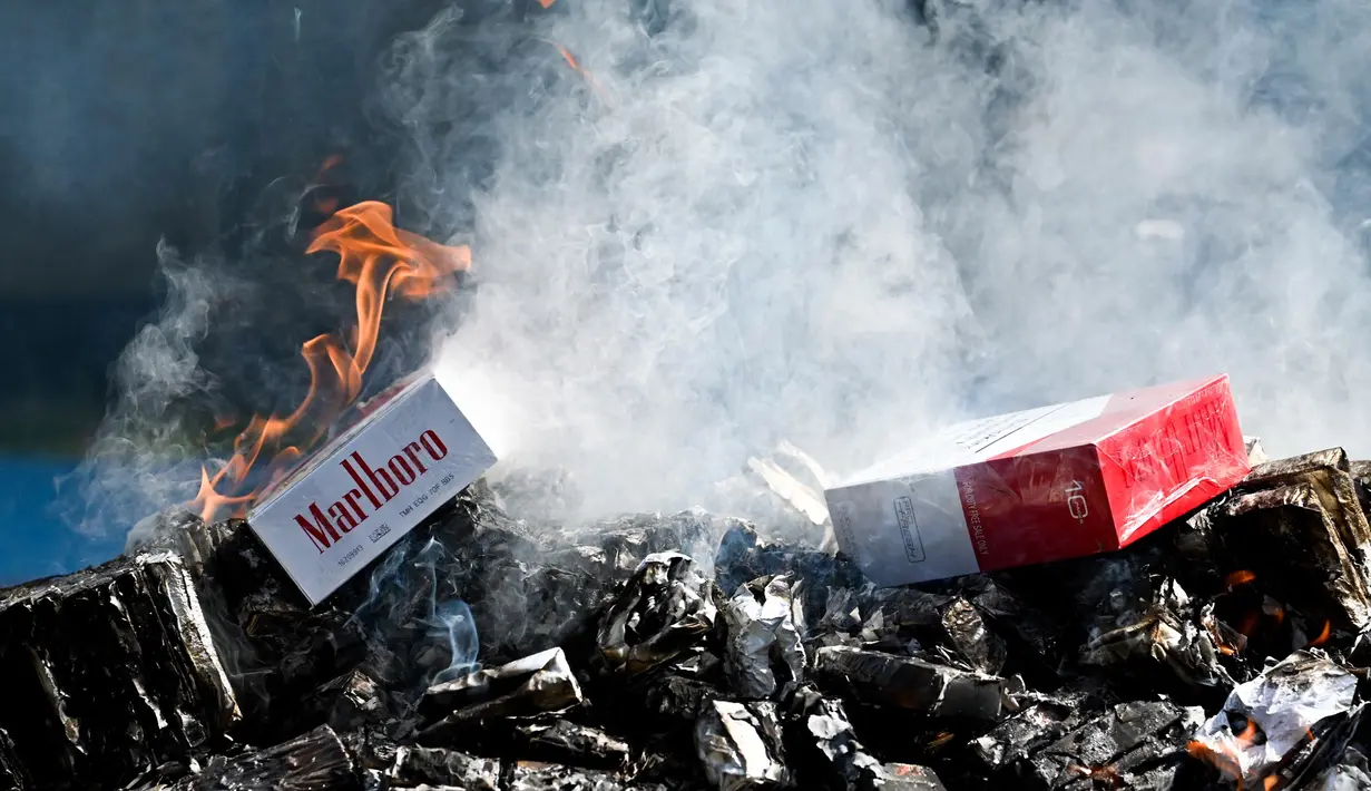Ratusan Ribu Rokok Impor Ilegal Dimusnahkan - Foto Liputan6.com