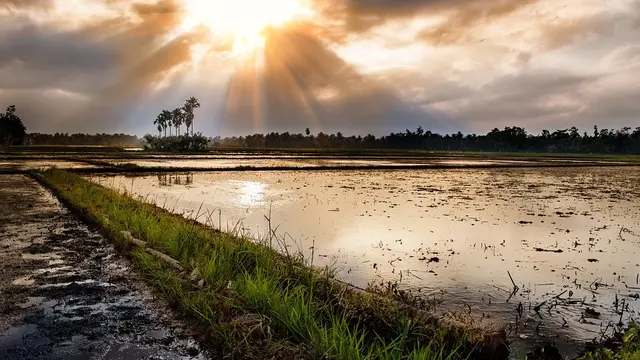 10 Jenis-Jenis Tanah di Indonesia dan Persebarannya - News Liputan6.com