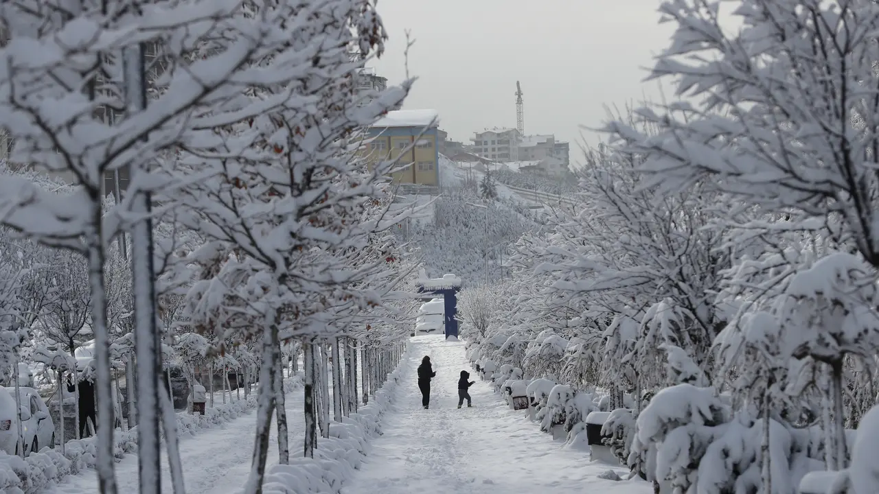 7 Negara Bersalju Tanpa Visa untuk Paspor Indonesia, Pulau Jeju di Korea Selatan Salah Satunya ...