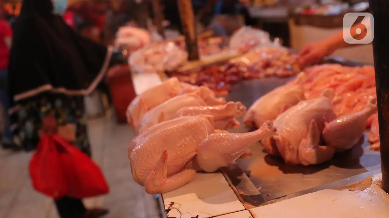 Jelang Ramadan, Perumda Dharma Jaya Tingkatkan Stok Daging 3 Kali Lipat di Jakarta - News ...
