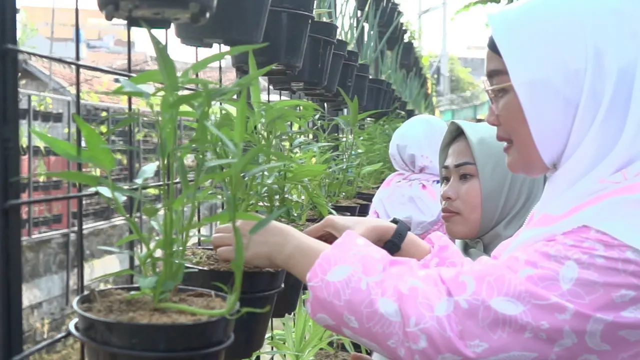 Urban Farming di Kelurahan Padjajaran Bandung Jadi Contoh Sukses ...