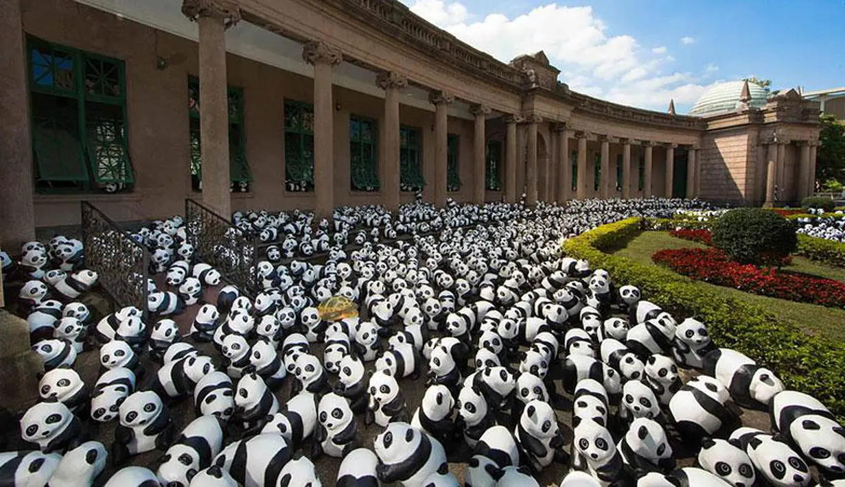 Tour 1600 Panda di 10 Kota di Asia ini Punya Alasan Unik Lho... - Photo ...