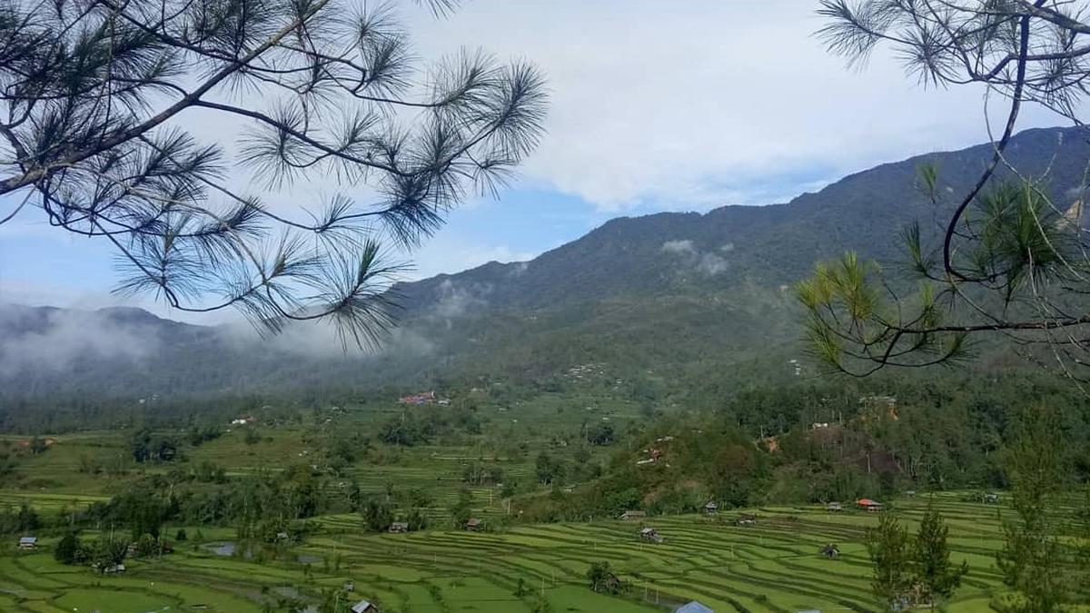 Berita Desa Wisata Tondok Bakaru Hari Ini - Kabar Terbaru Terkini ...