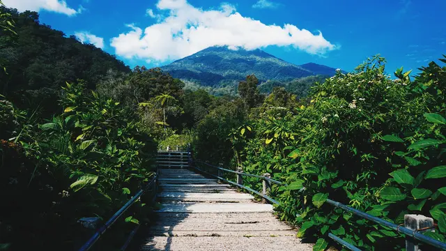9 Fakta Menarik Gunung Gede yang Harus Diketahui Penggemar Traveling - Citizen6 Liputan6.com