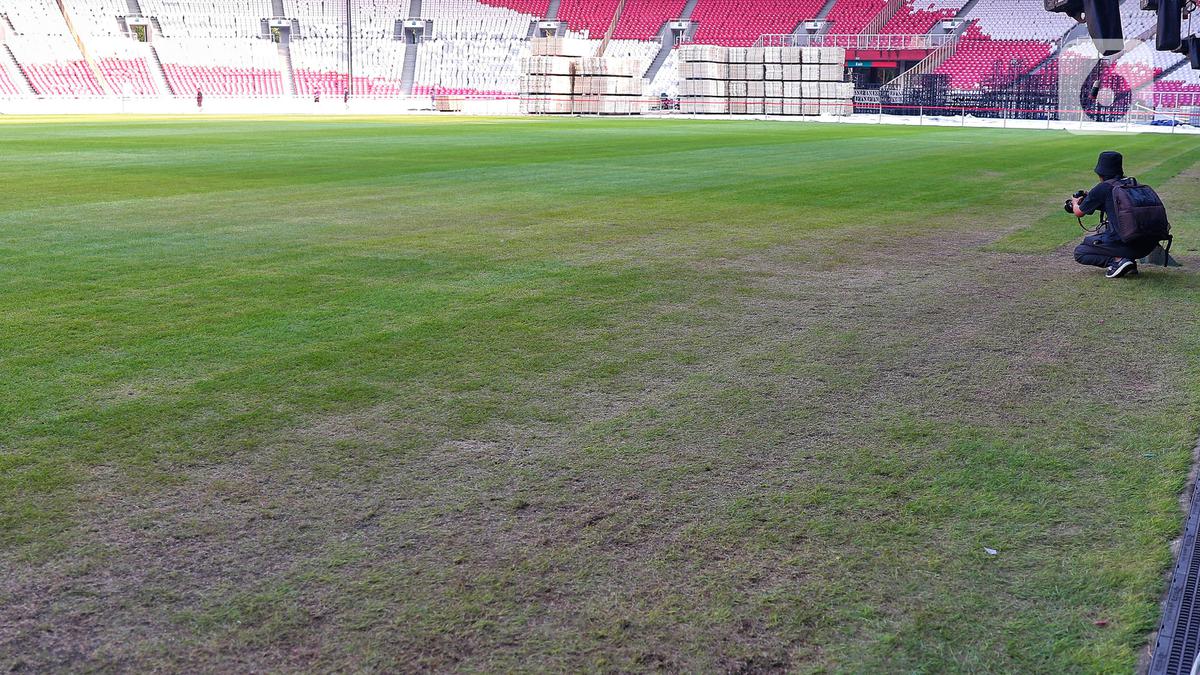 Rumput Stadion Utama Gelora Bung Karno Memprihatinkan usai Gelaran ...