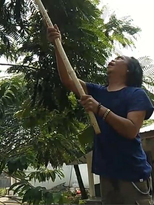 Potret Rumah Mandra Nuansa Betawi dengan Halaman Super Luas - Photo ...