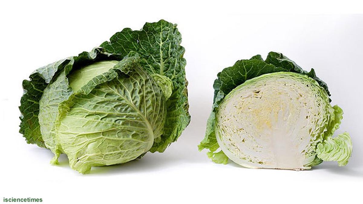 Hampir Meninggal Akibat Kebanyakan Makan Kubis - Health Liputan6.com