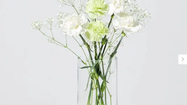 Uniqlo Jual Bunga Segar, Banting Setir? - Lifestyle Liputan6.com