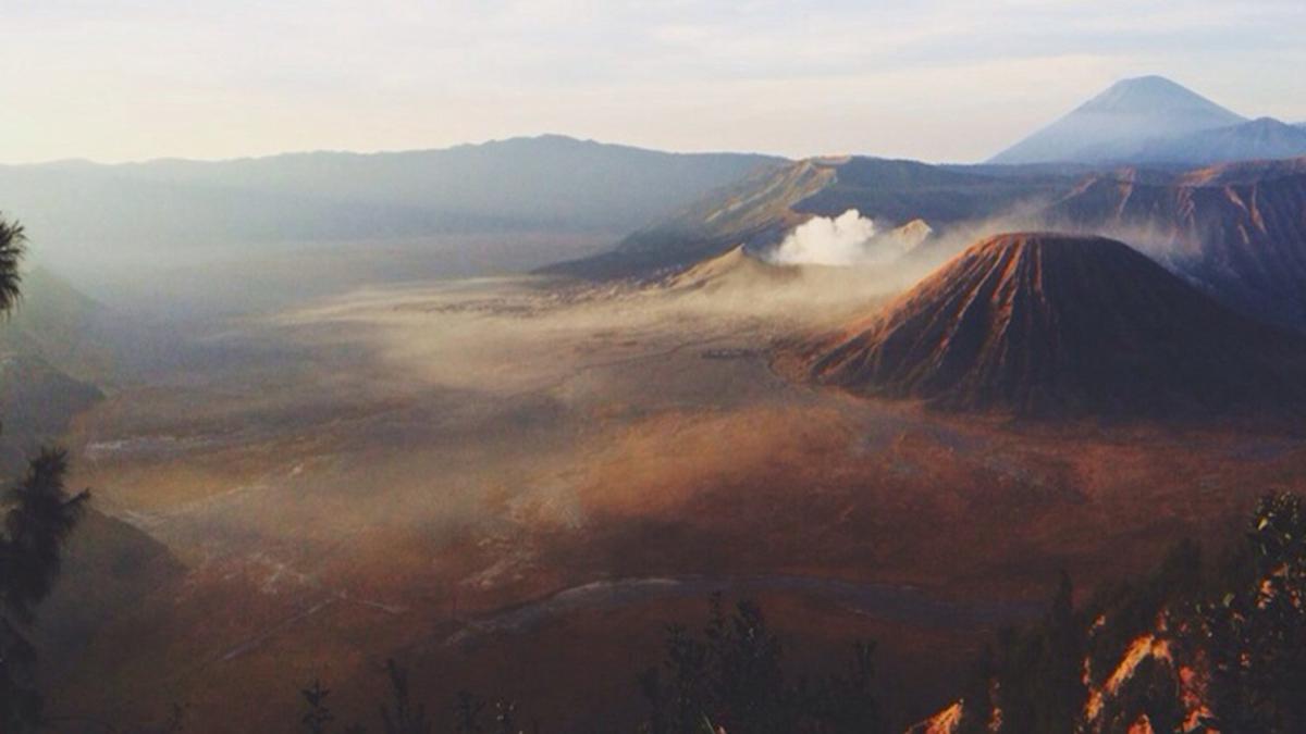 Sebagian Kawasan Wisata Gunung Bromo Ditutup Sementara, Imbas Kebakaran ...
