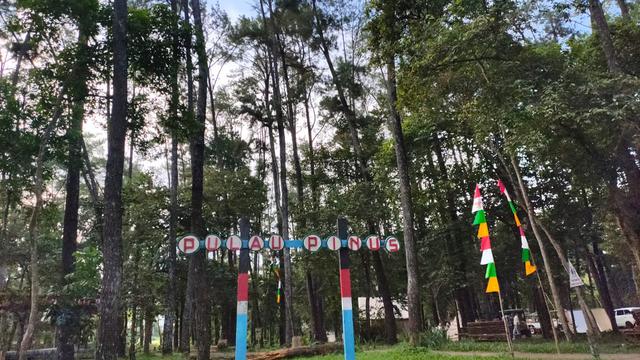 200 Daftar Nama Pohon Indonesia Lengkap dengan Nama Latin dan Manfaatnya