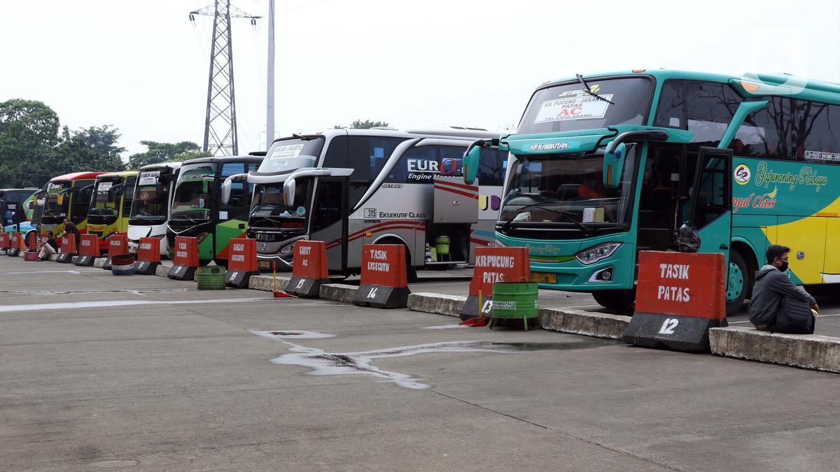 Banyak Armada Nganggur, Kemenhub Ingin Bus Pariwisata jadi Bus AKAP ...