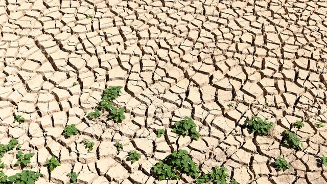 [cek Fakta] Dajal Muncul Saat Kemarau Panjang Melanda Dunia Pada 2019