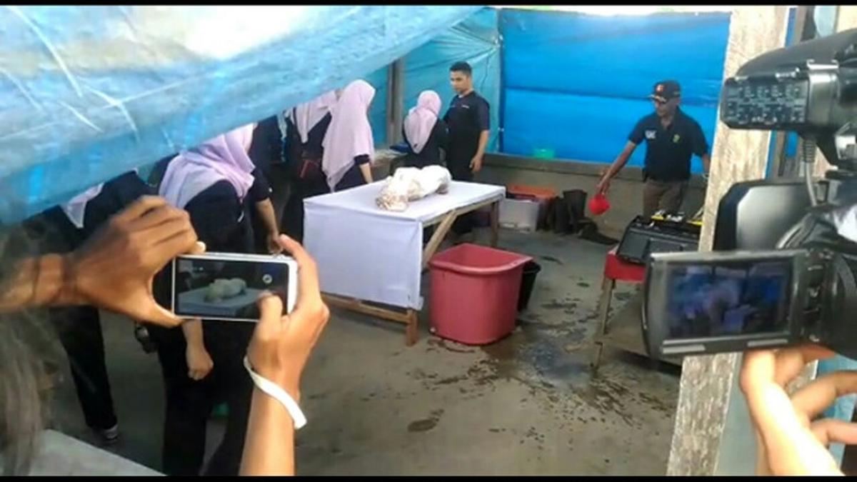 Bayi Penghuni Panti Asuhan Maut Diduga Dianiaya Sejak 6 Bulan