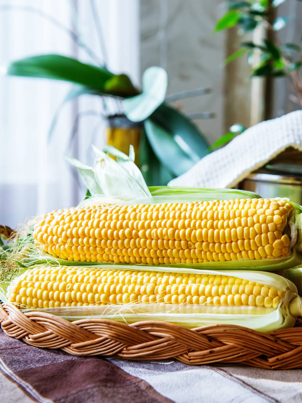 Resep Corn Ribs, Cocok untuk Menemani Movie Marathon