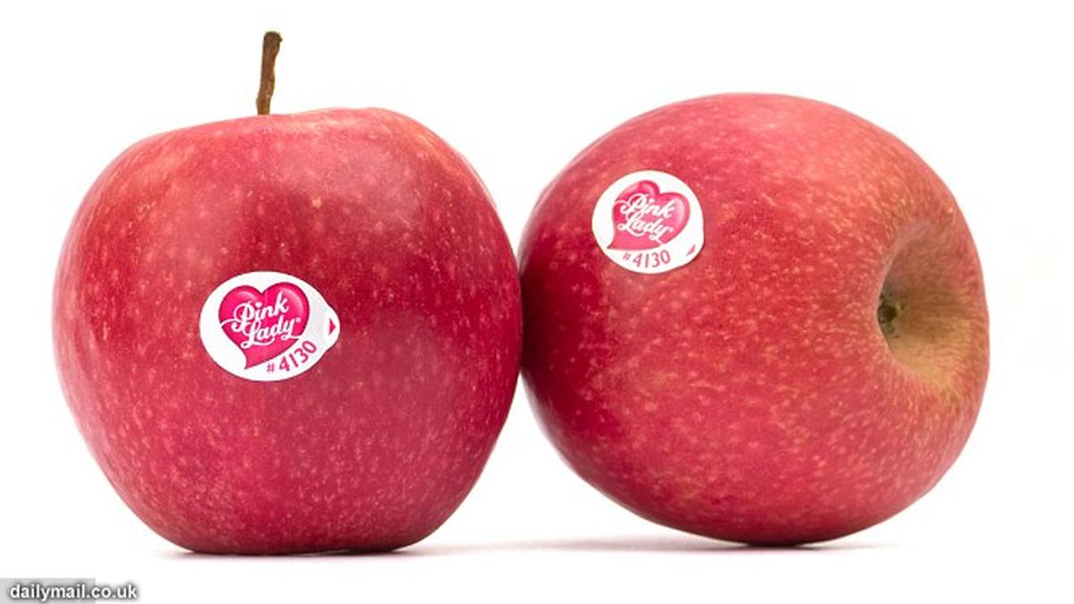 Beli Ponsel Apple Malah Dapat Apel - Global Liputan6.com