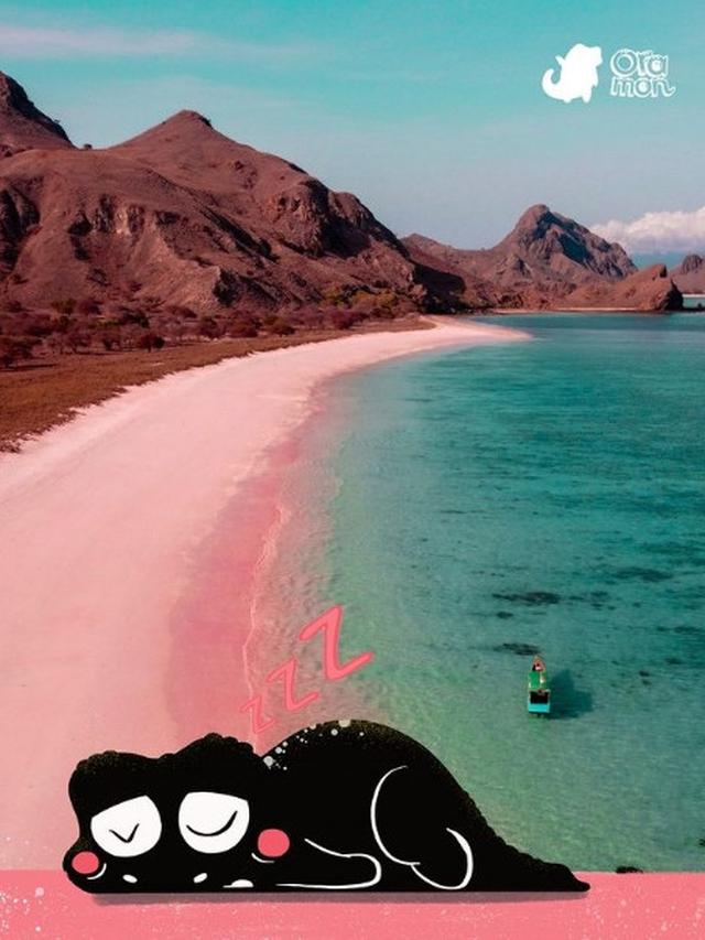 Kenalan dengan Oramon, Karakter Komodo Pendukung Pariwisata Labuan Bajo ...