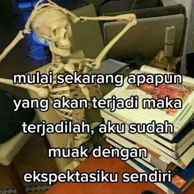 6 Meme Pasrah dengan Kehidupan Ini Kocak, Tetap Dihadapi Meski Berat